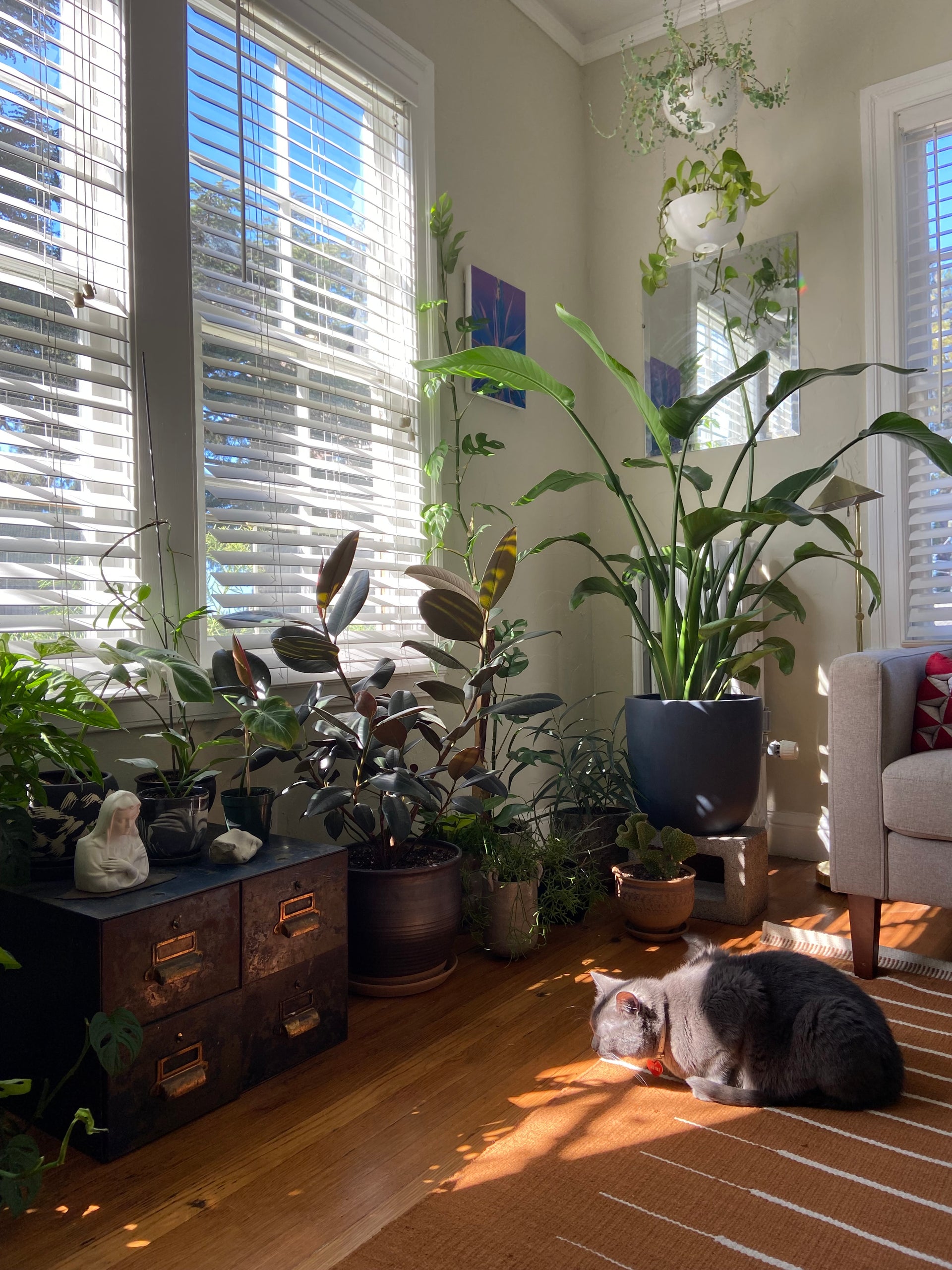 At Home With Nelly – Crimson Horticultural Rarities