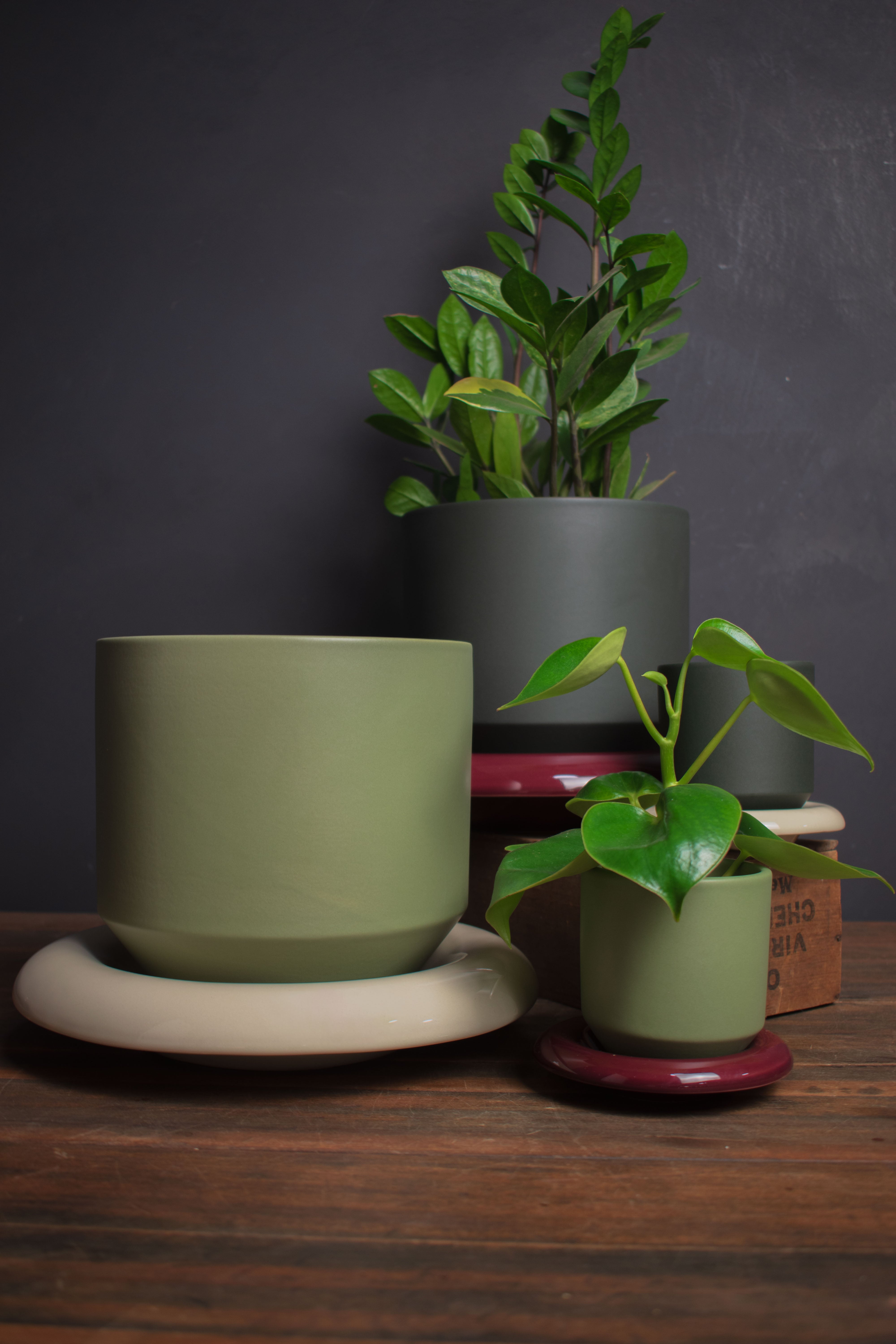 Bergs Potter - Lily Planter – Crimson Horticultural Rarities