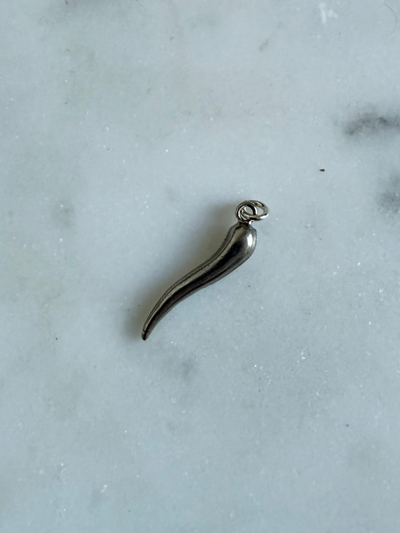 Sterling Silver Cornicello Italian Horn – Crimson Horticultural Rarities