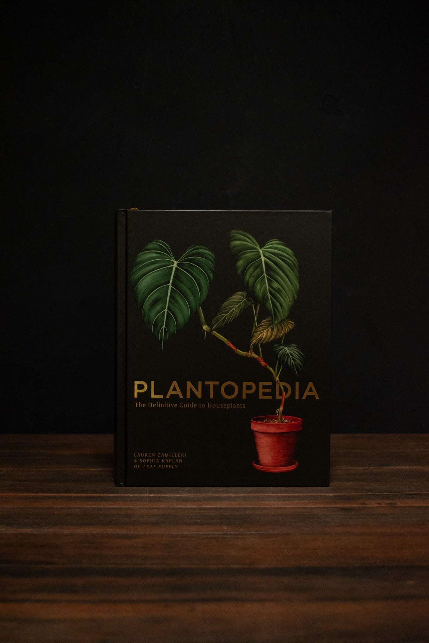 Plantopedia: The Definitive Guide to Houseplants – Crimson ...