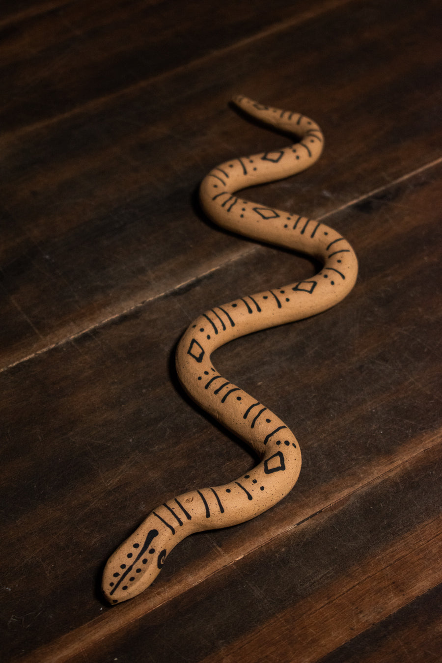 Melville Ceramics - Squiggle Snake – Crimson Horticultural Rarities