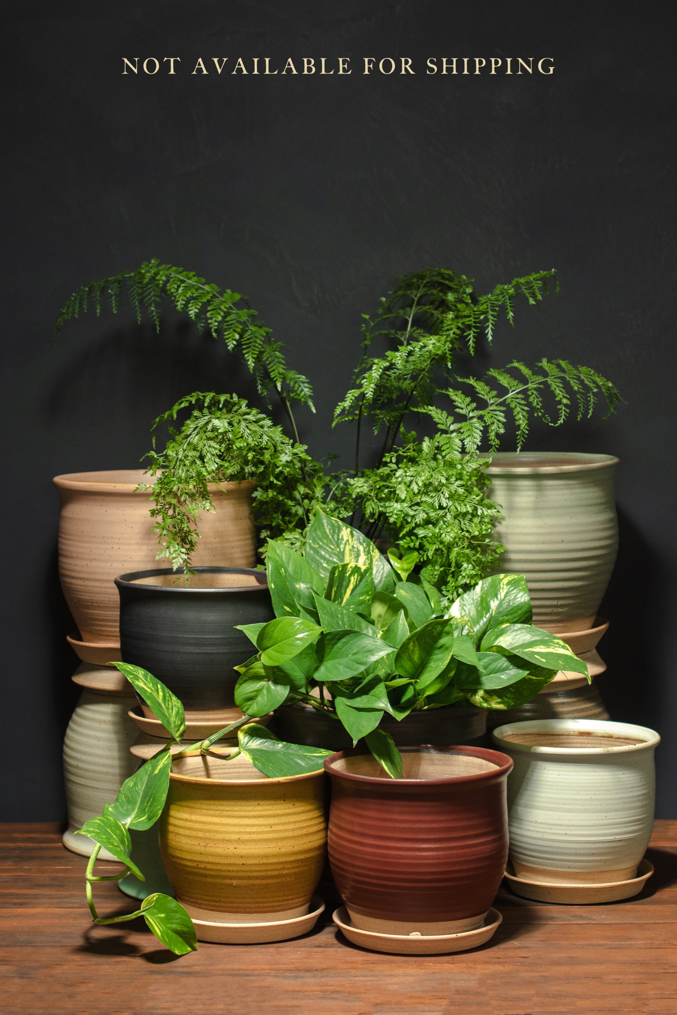 Large - Stephen Moellering Planters – Crimson Horticultural Rarities