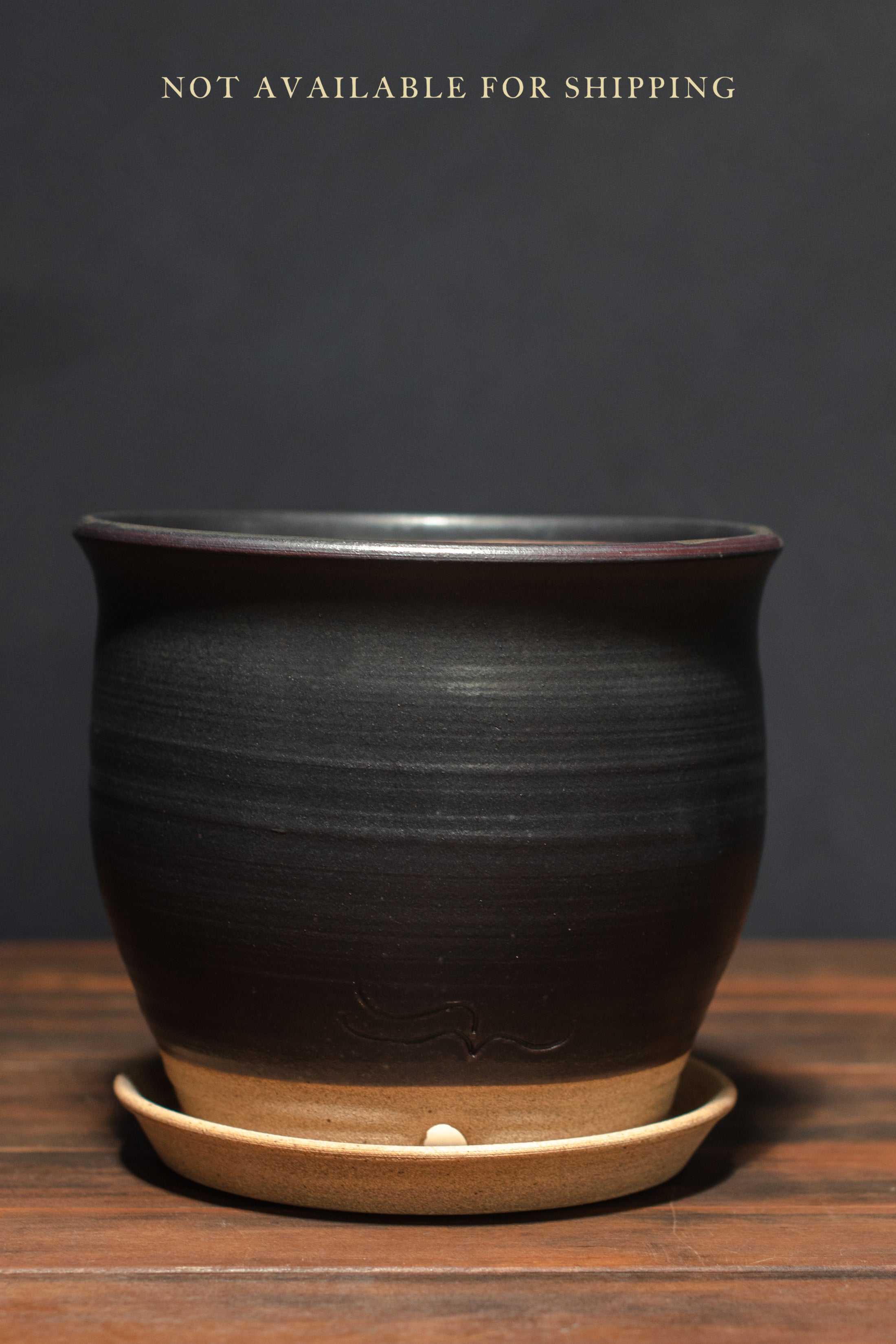 Large - Stephen Moellering Planters – Crimson Horticultural Rarities