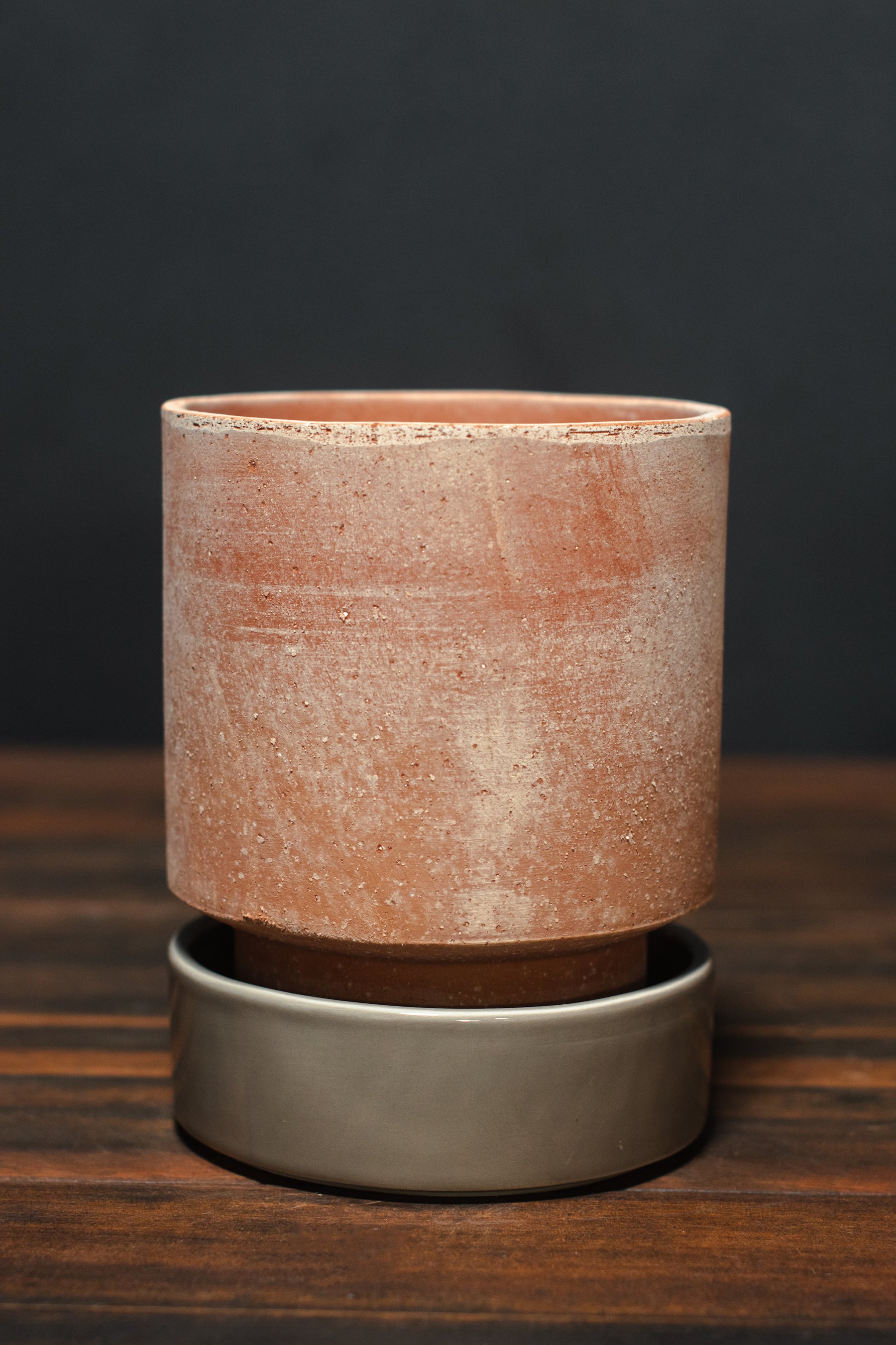 Bergs Potter Rosa Hoff Pot and Saucer – Crimson Horticultural Rarities